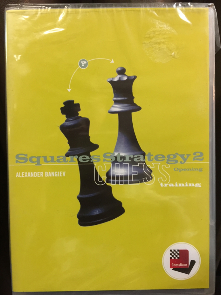 Chess training - Squares strategy 2 | Sydney Academy of Chess